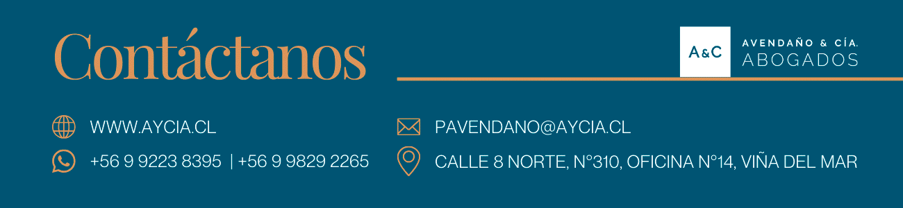 Presidente Boric Conmemora el 8M: Homenaje a la Lucha Histórica de las ...